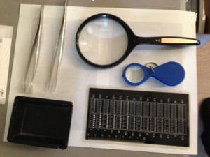 Stamp Collecting: The Ultimate Guide